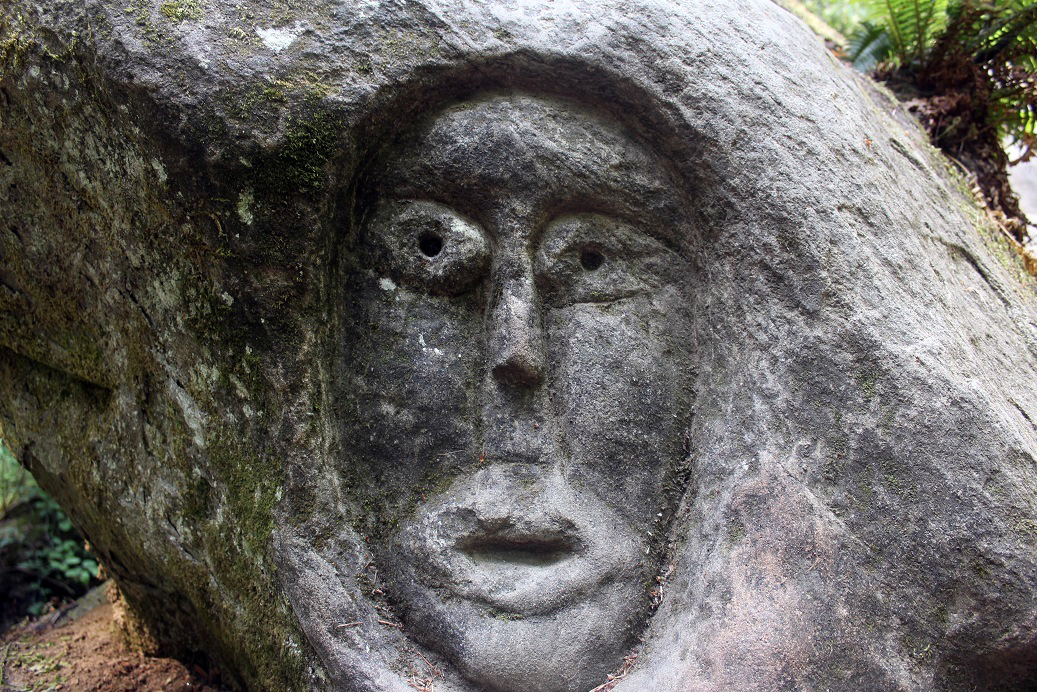 whatcom-falls-park-face - WhatcomTalk whatcom-falls-park-face - WhatcomTalk