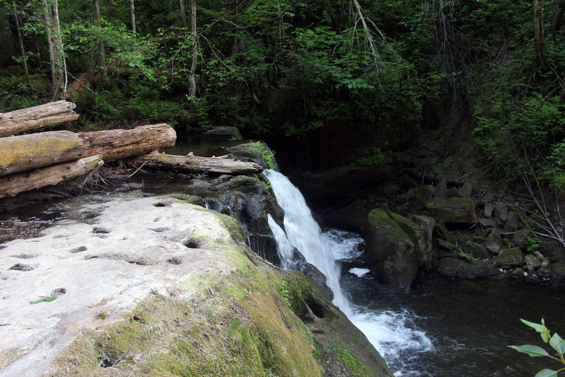 whatcom-falls-park-pixie-falls - WhatcomTalk whatcom-falls-park-pixie-falls - WhatcomTalk